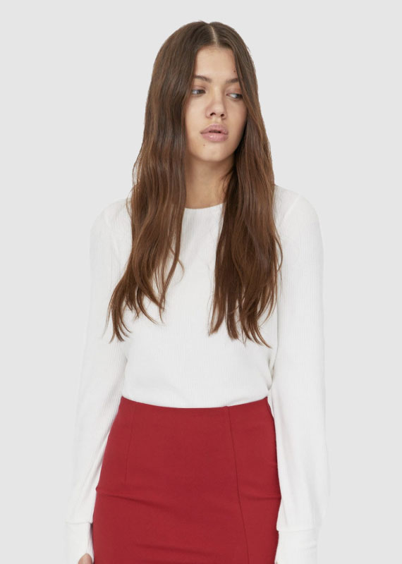 Decorative Christmas Fox